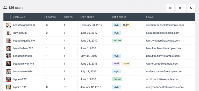 Woocommerce User Data Users Insights