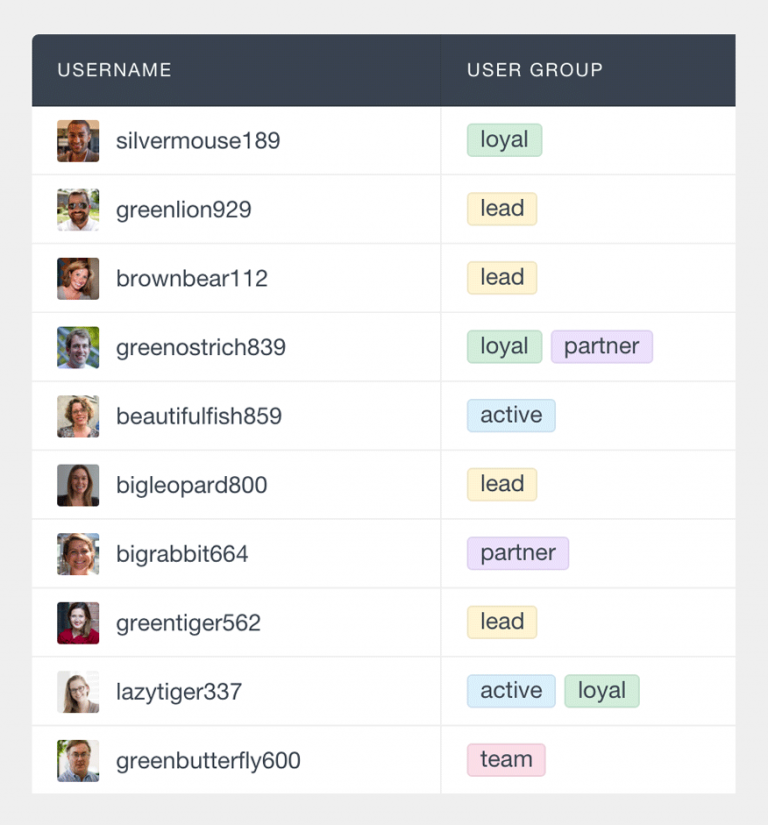 User Groups User Notes And Custom User Fields In Users Insights 20 Users Insights