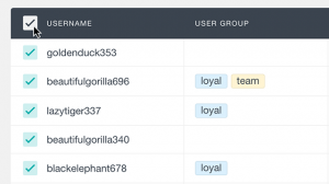Using Bulk Actions Users Insights