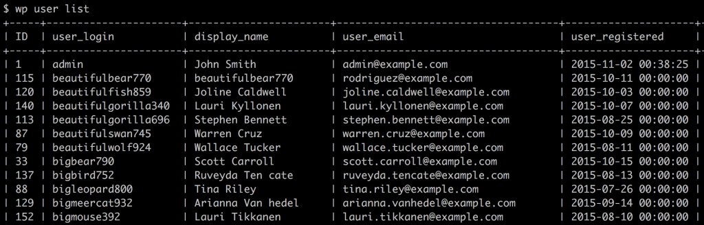 How to list and search WordPress users with WP CLI - Users Insights
