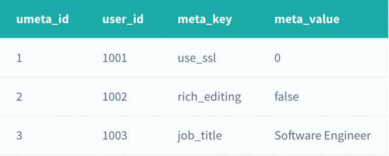 How WordPress user data is stored in the database - Users Insights