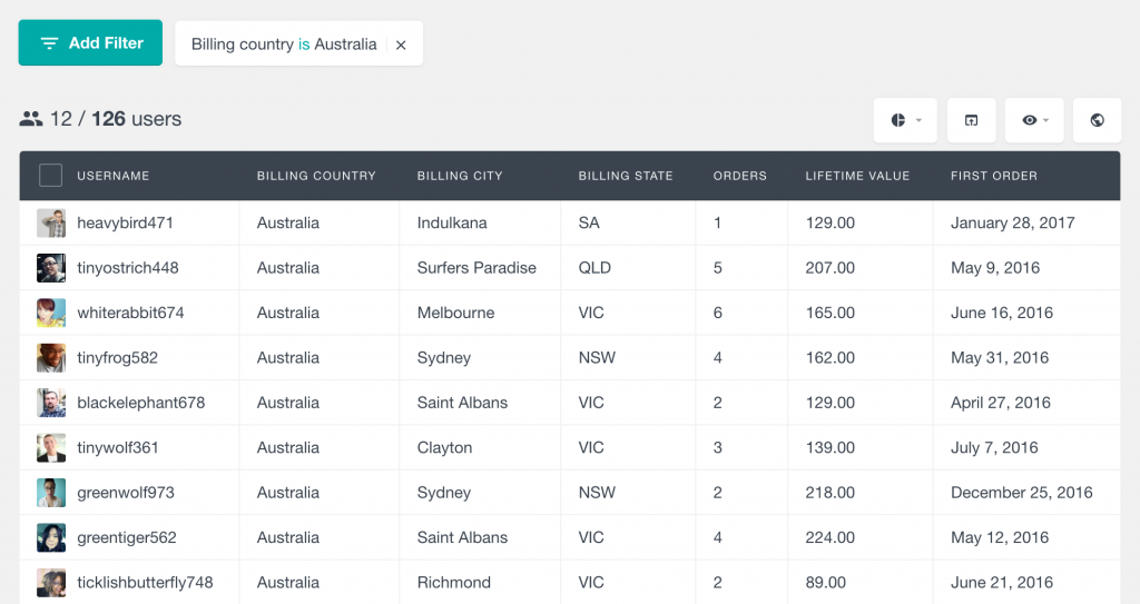 Woocommerce User Data Users Insights
