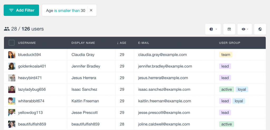 Profile Builder Pro Data and Search Filters - Users Insights