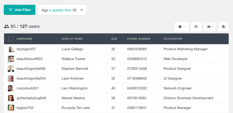 Wordpress Custom User Fields Users Insights
