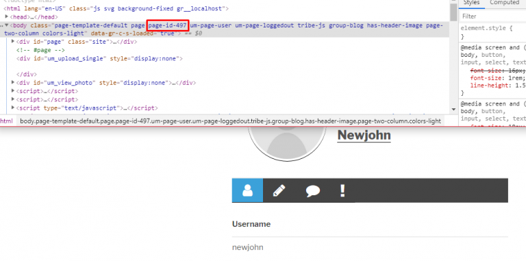 Customizing the Ultimate Member profile page - Users Insights