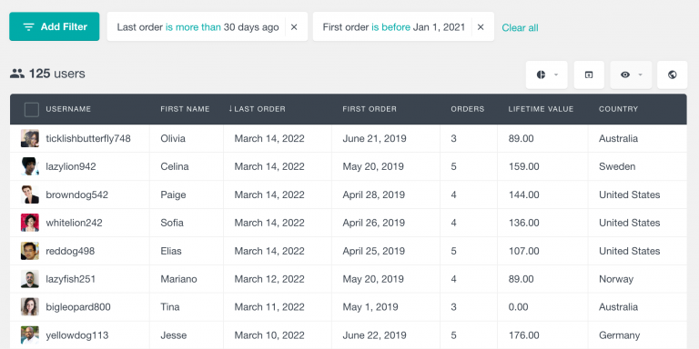 Woocommerce User Data Users Insights