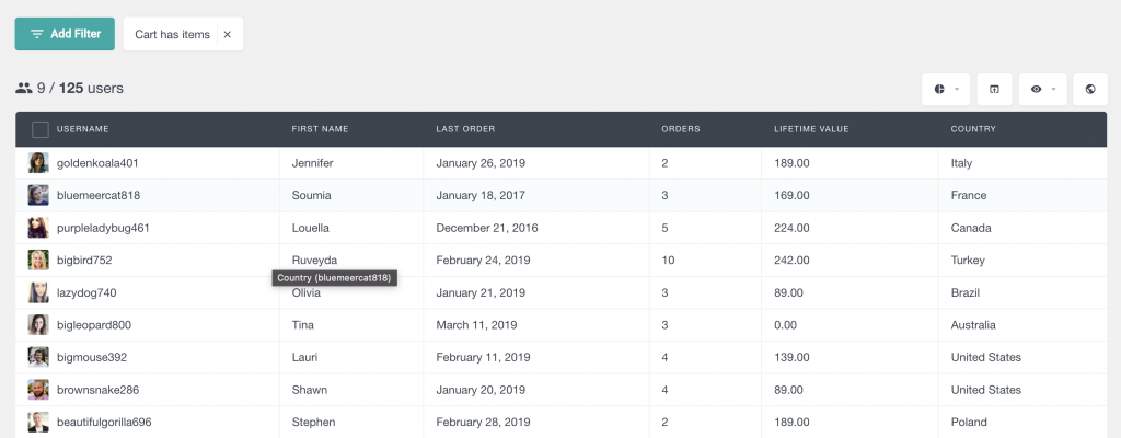 How to create a WooCommerce abandoned cart report - Users Insights