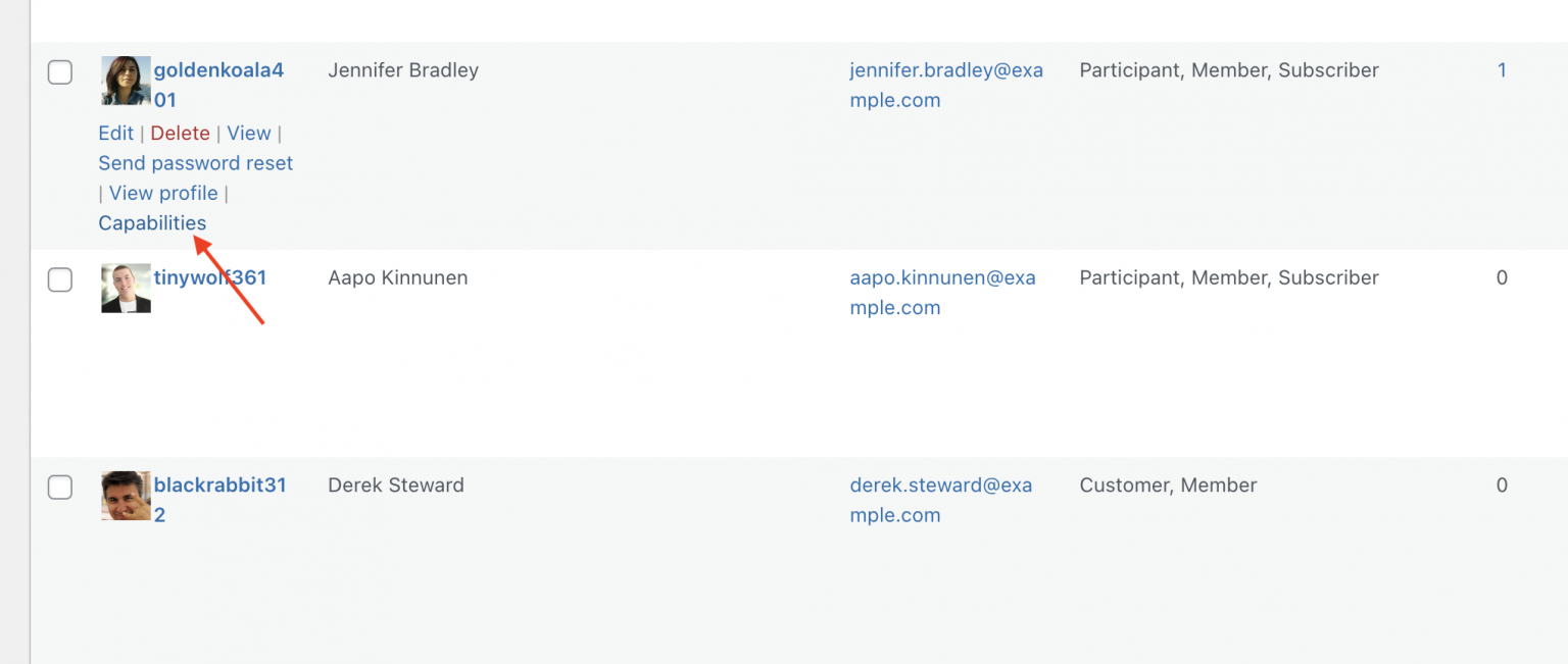 How to manage WordPress user roles and capabilities - Users Insights